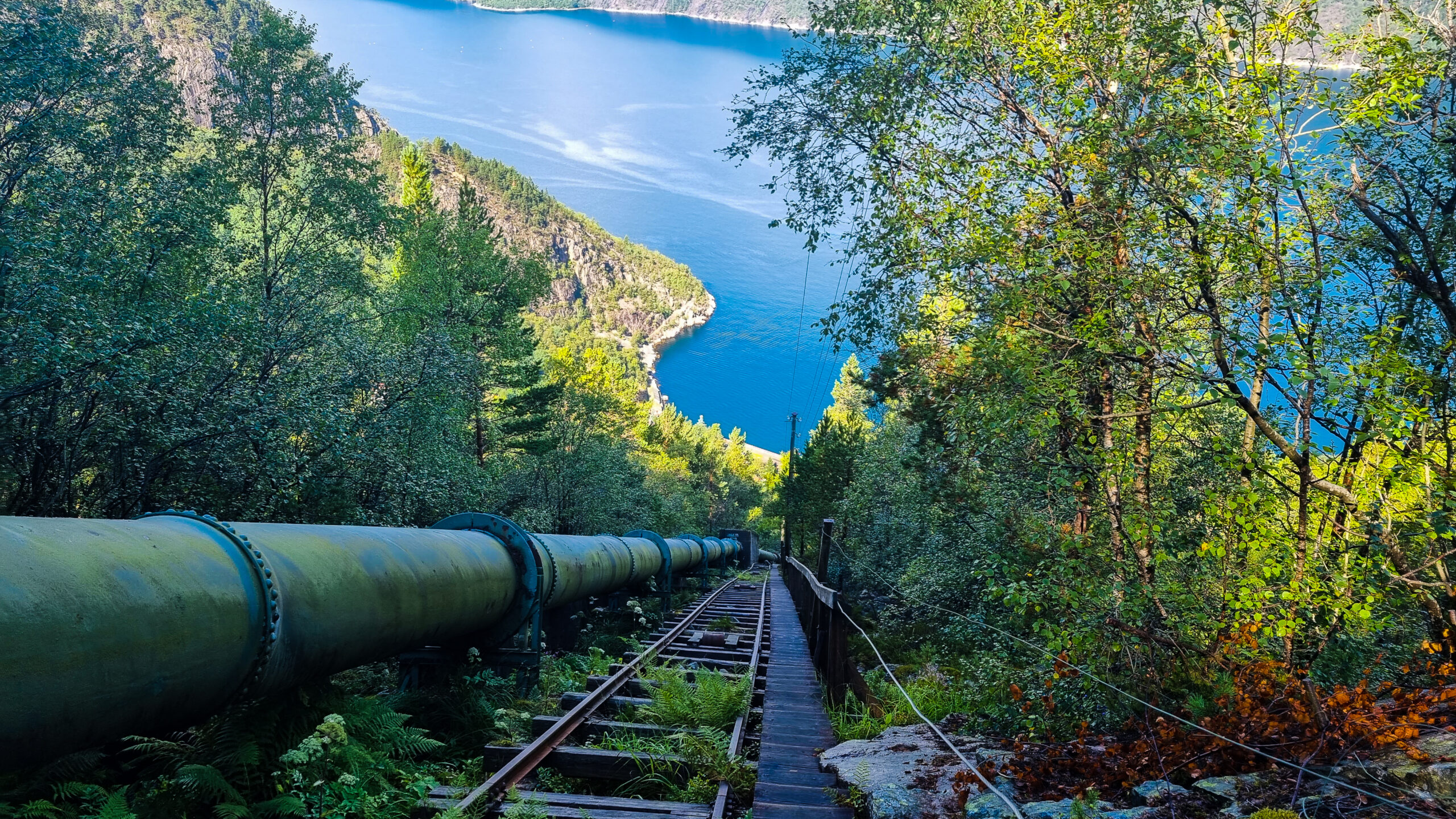 Day drip to Flørli - Flørli Stairs - Rødne Fjord Cruise