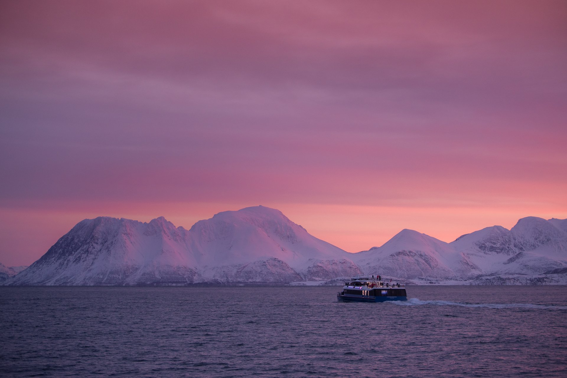 Arctic Fjord Cruise from Tromsø - Rødne Fjord Cruise